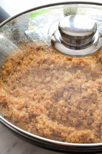 Toasted Quinoa - The Stingy Vegan