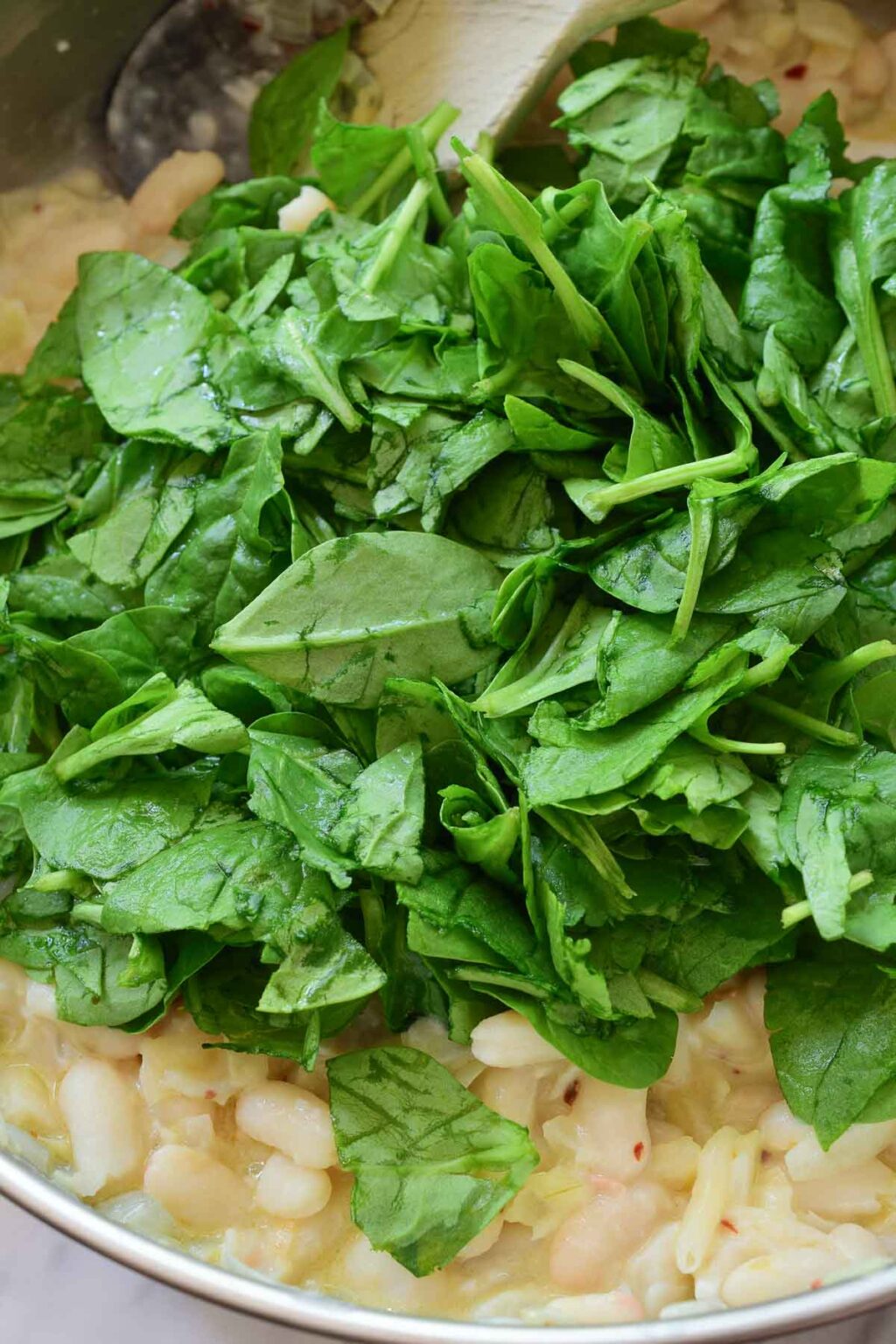 White Beans and Spinach - The Stingy Vegan